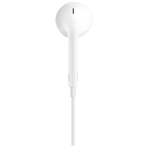 Lightning connector earbuds store